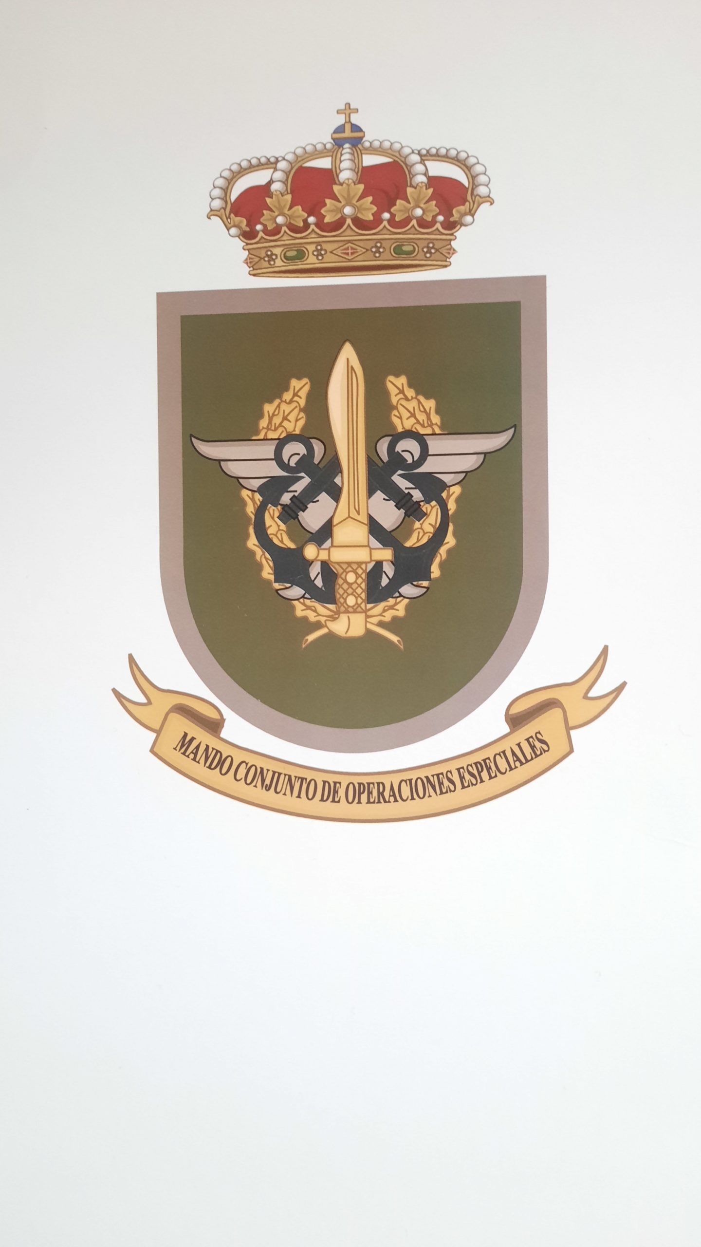 El Mando Conjunto de Operaciones Especiales afronta la fase de certificación del ejercicio SOFEX-24